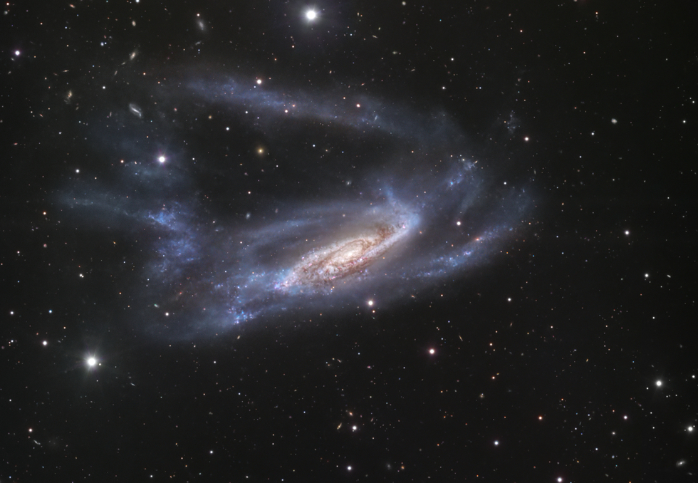 NGC 3981 | Telescope Live